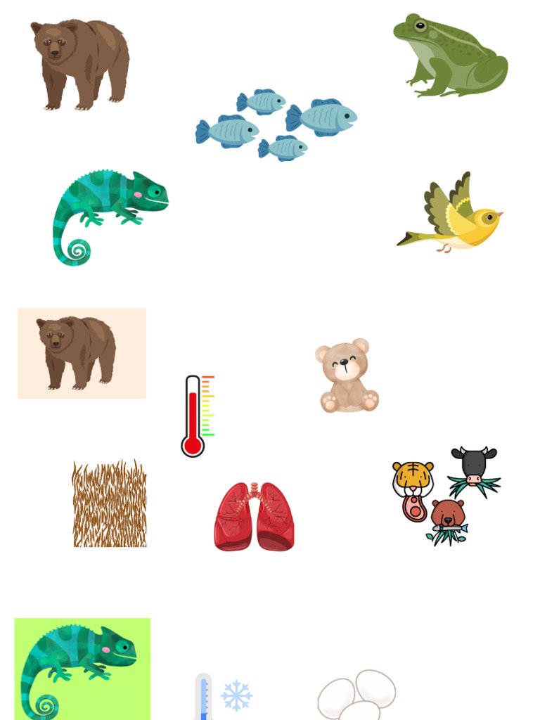 Animals Oral | PDF