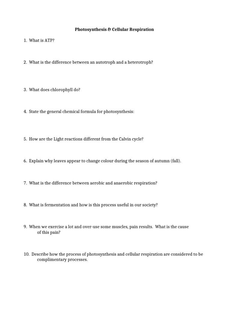 Ethan Donovan - Photosynthesis & Cellular Respiration | PDF