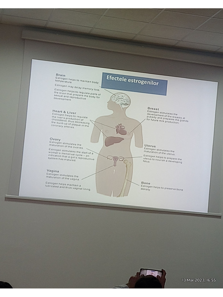 PDFReader 20250120 1740 | PDF