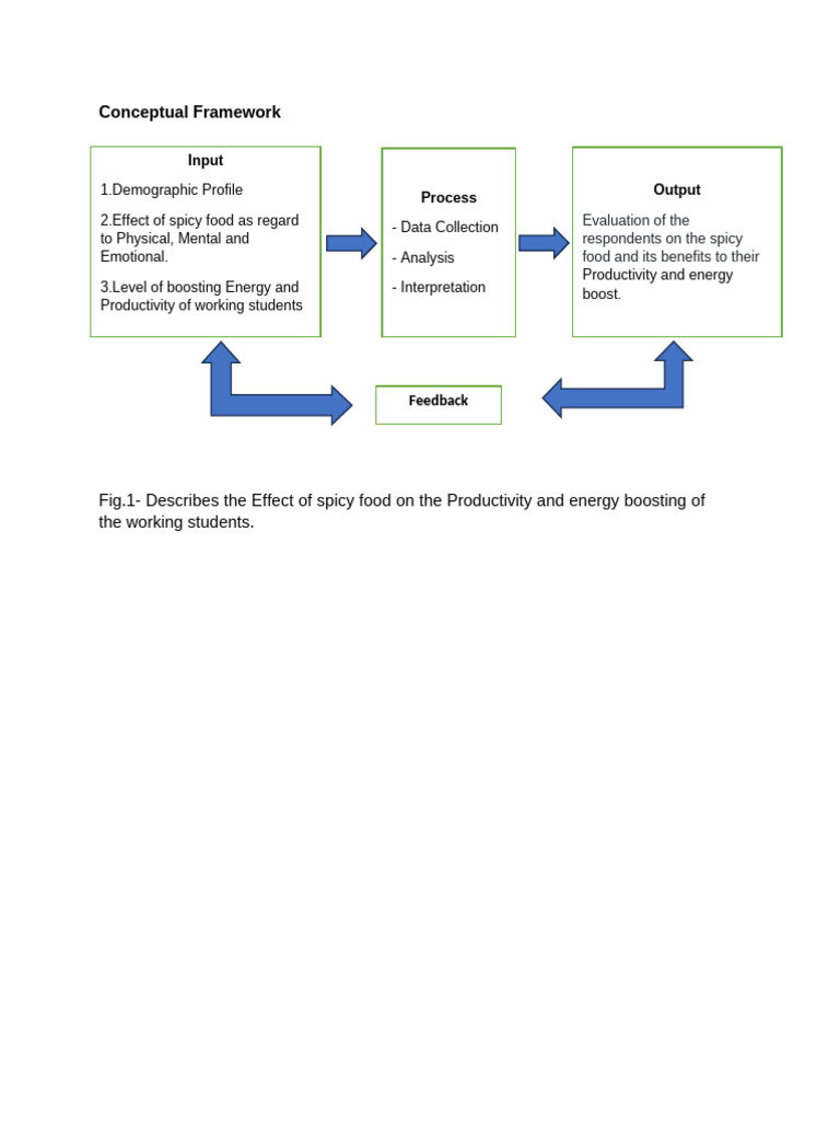 Conceptual Framework | PDF
