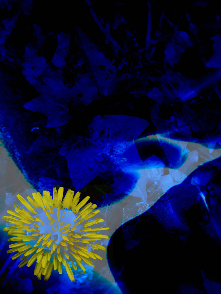 Sarahcouleur-1 2 | PDF