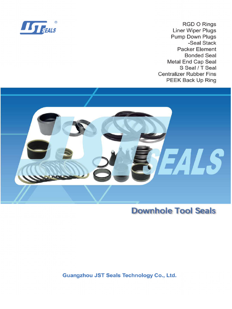 Downhole Tool Seals | PDF
