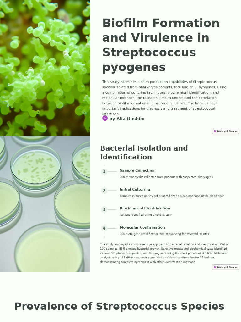 Biofilm Formation and Virulence in Streptococcus Pyogenes | PDF | Streptococcus | Biofilm