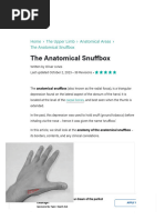 Anatomy and Contents of the Snuffbox | PDF