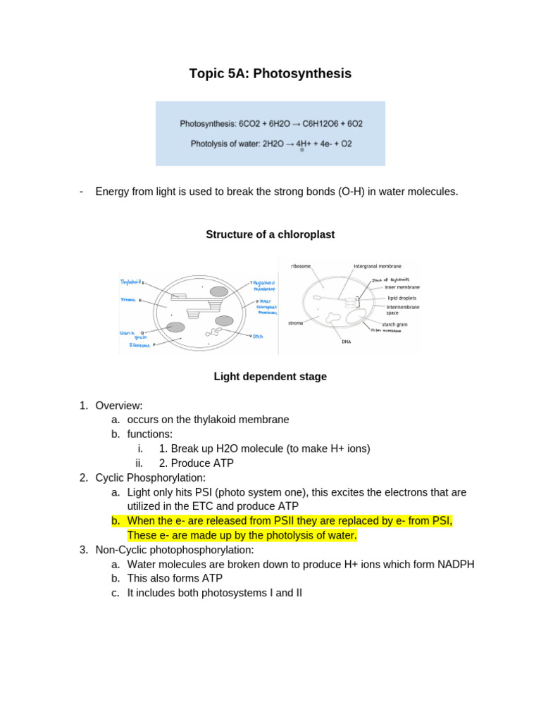 Bio u4 Edexcel | PDF | Virus | Gel Electrophoresis