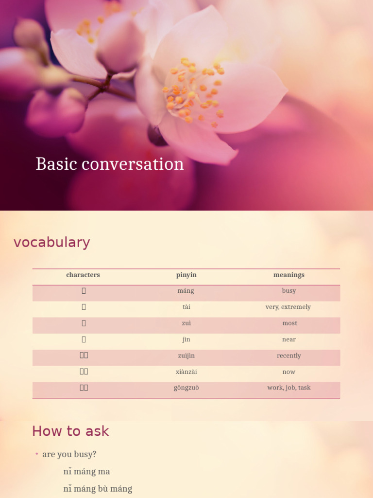 Essential Chinese Conversation Vocabulary | PDF