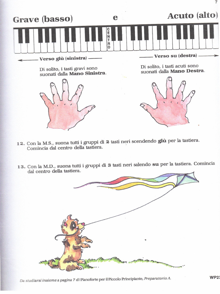 Grave e Acuto, Prime Note, Gambe Delle Note | PDF