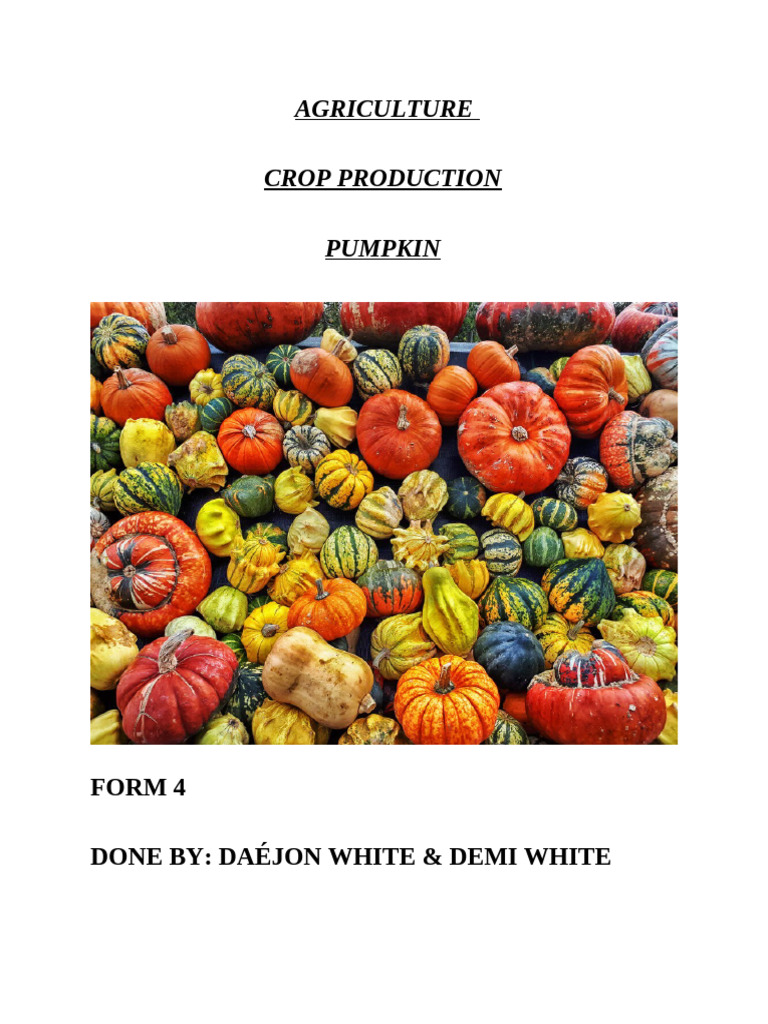 AGRICULTURE PUMPKIN | PDF | Cucurbita | Pumpkin