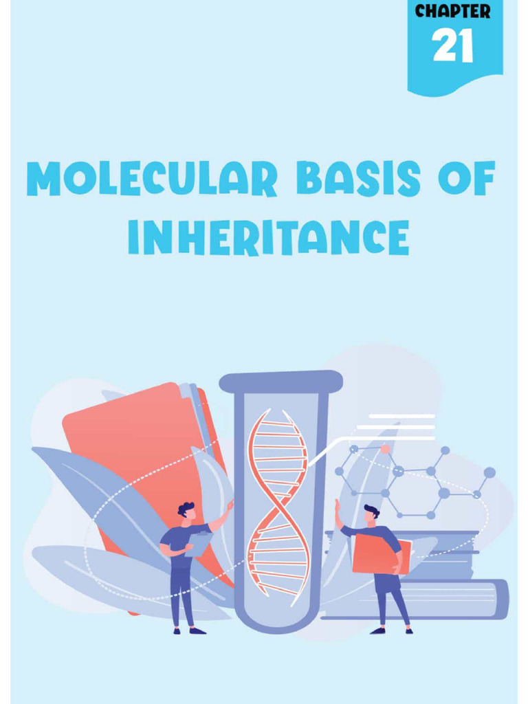Molecular Basis of Inheritance | PDF