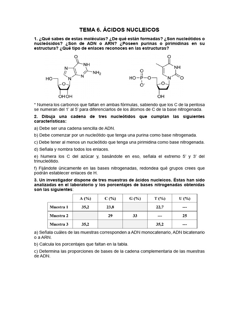 ACTIVIDADES ENTREGABLES TEMA 5. Ácidos Nucleicos | PDF | Ácidos nucleicos | Nucleótidos