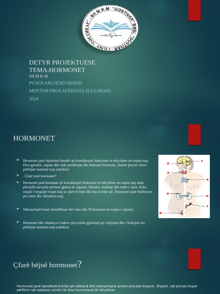 Tema e Matures - Argjend Hebibi Power | PDF