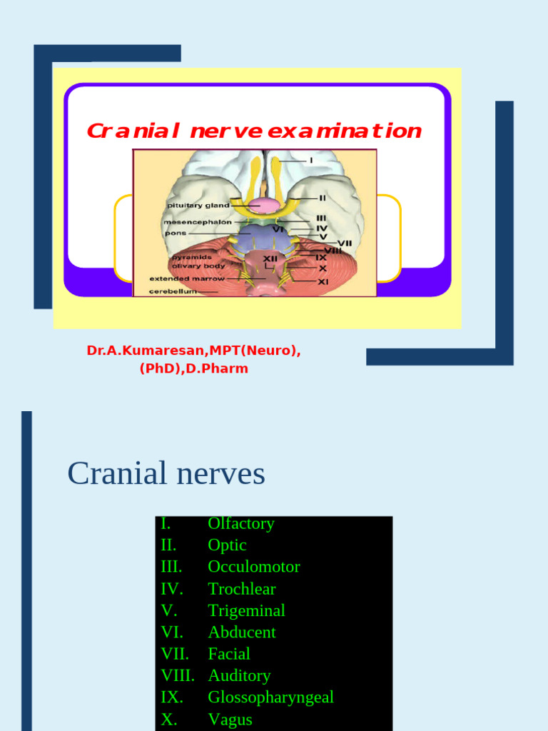 Cranial Nerves Examination | PDF | Human Anatomy | Neuroscience