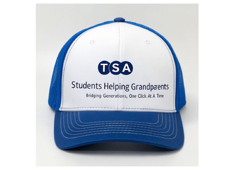 TSA | PDF