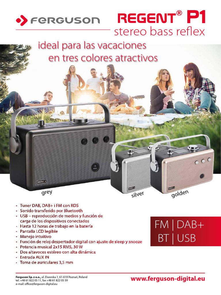 Radio Portátil DAB+ Ferguson REGENT P1 | PDF | Ingeniería Electrónica ...