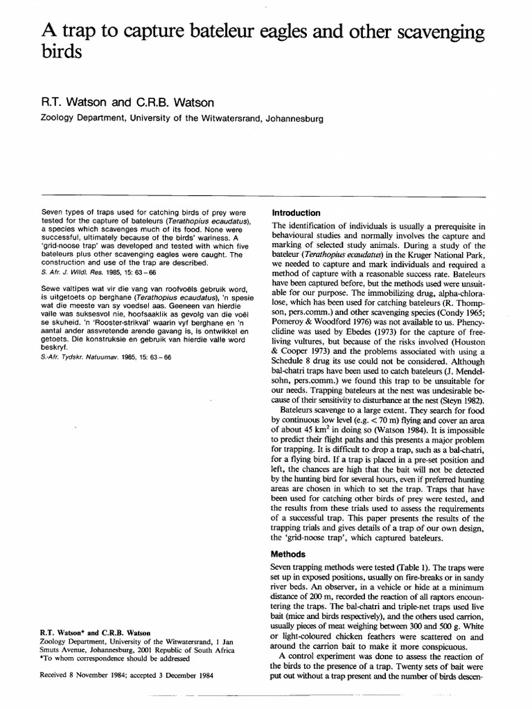 Watson R T Watson 1985 A Trap To Capture Bateleur Eagles and Other ...