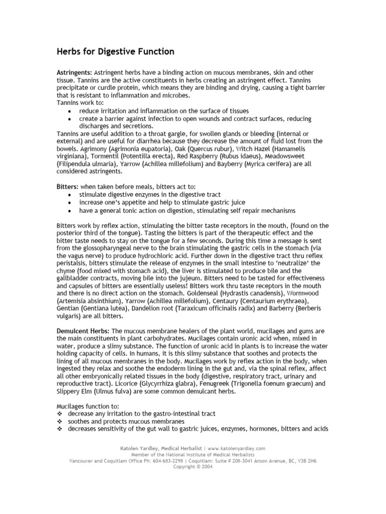 Digestive Health | PDF | Gastrointestinal Tract | Stomach