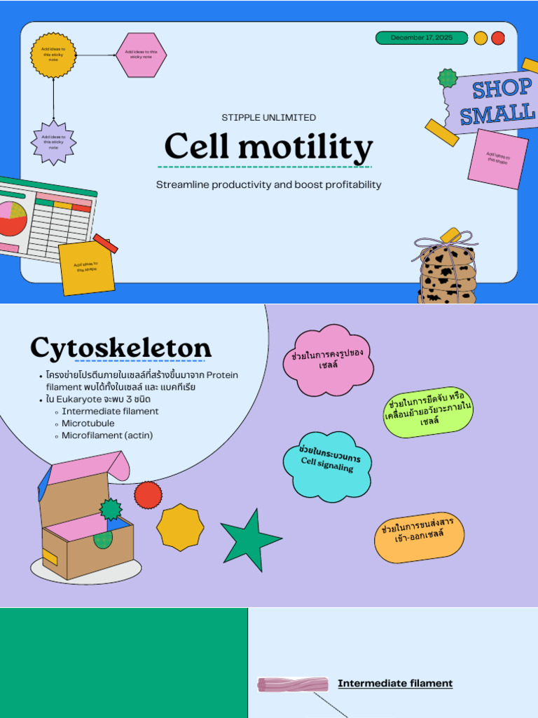 Cell Motility | PDF