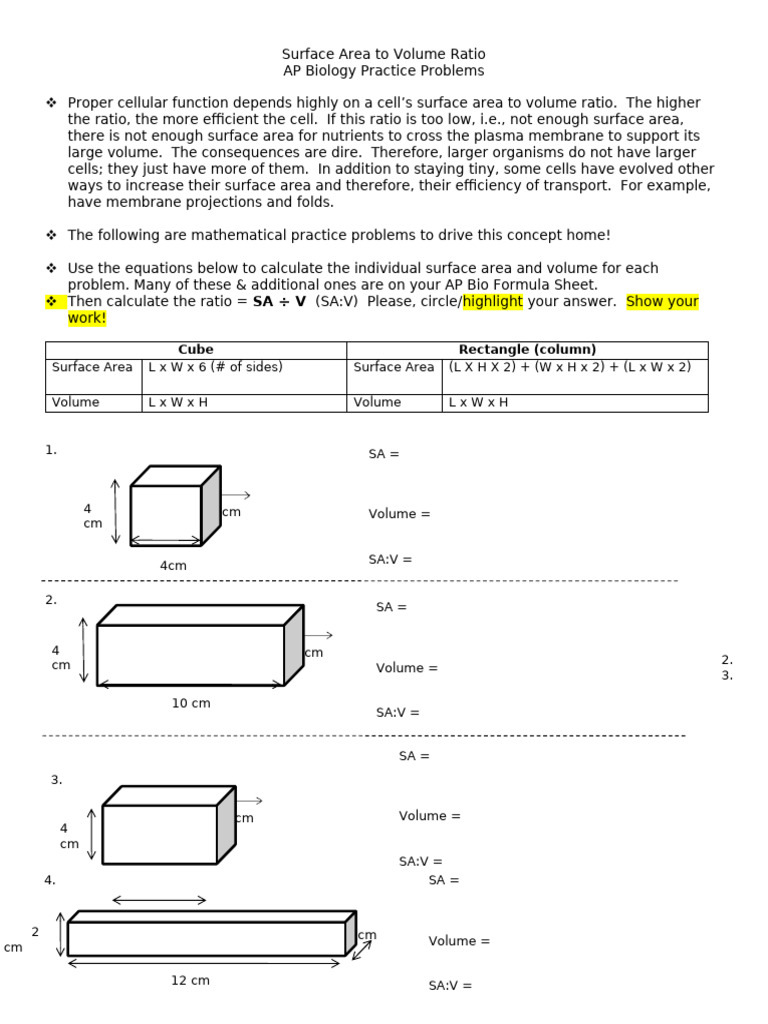 Surface Area Problems WS | PDF | Area | Volume