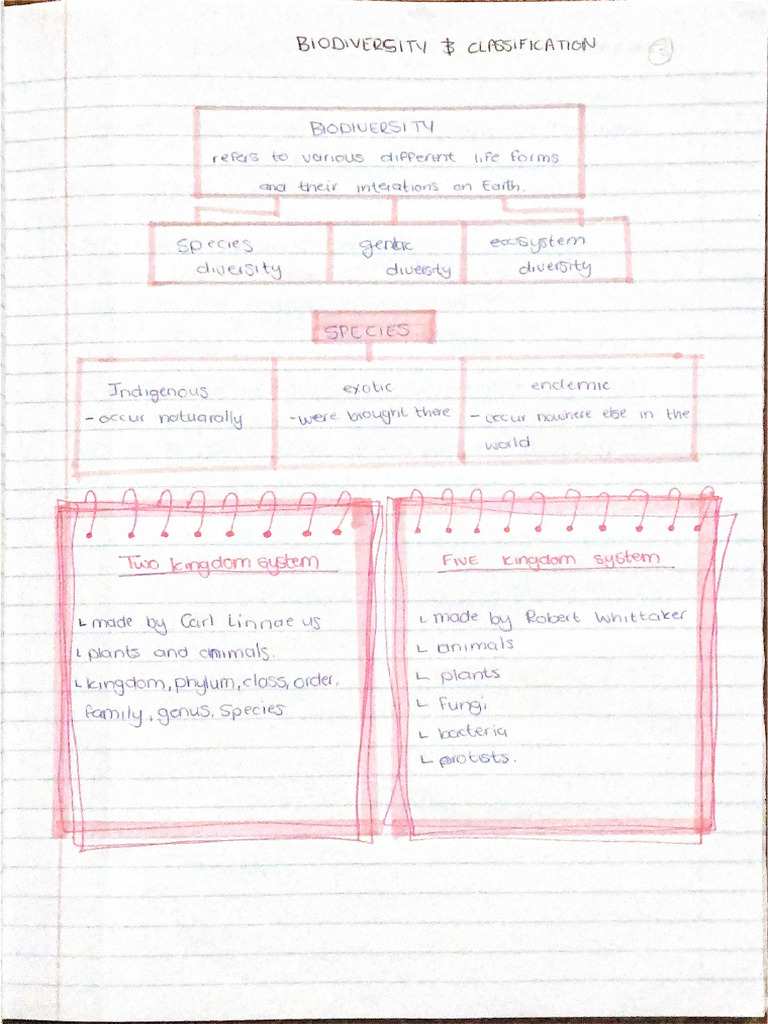 grade 10 bio strand 3 and 4 | PDF