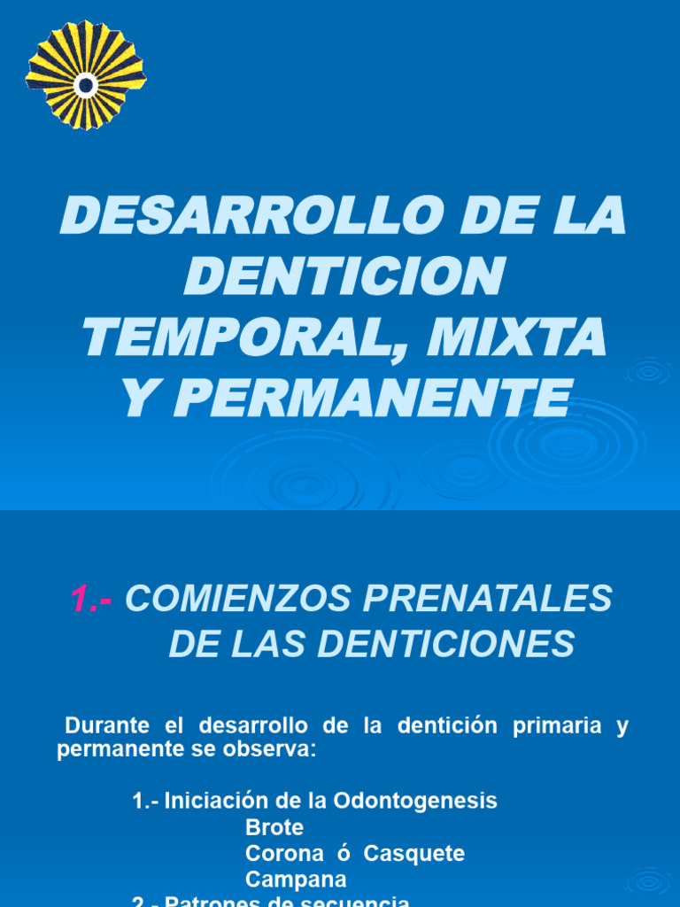 Tema 1 Desarrollo de La Denticion Primaria-Mixta | PDF | Diente | Ramas ...