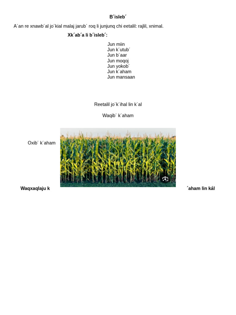 Texto para Q Eqch I | PDF