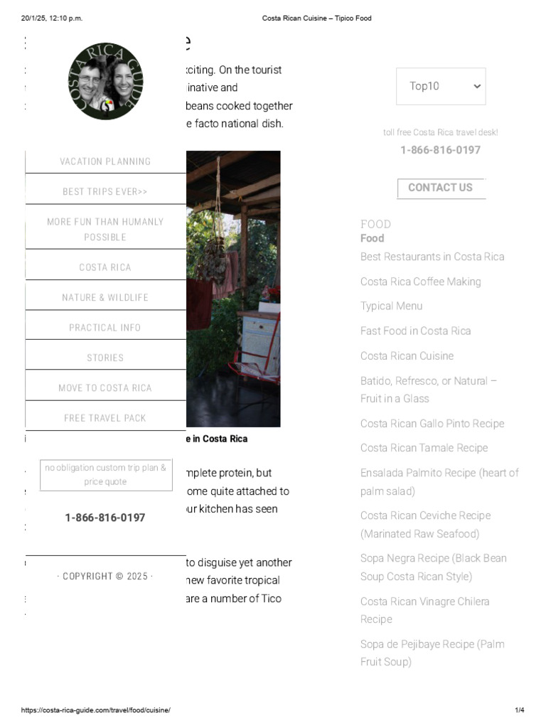 Costa Rican Cuisine - Tipico Food3 | PDF | Cuisine | Western Cuisine