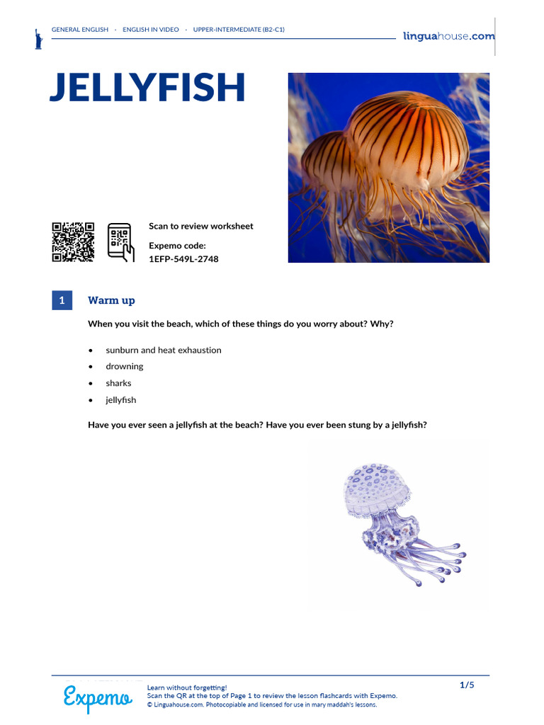 Jellyfish: An Upper-Intermediate Guide | PDF | Tentacle