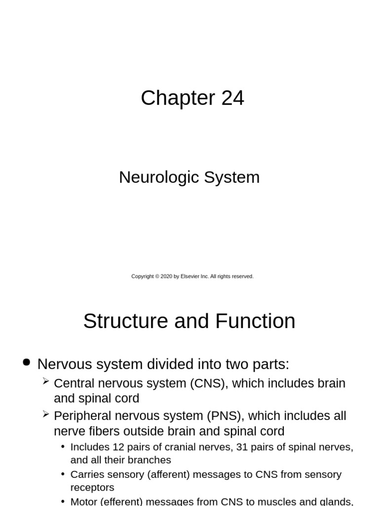 Chapter - 024-Neurologic System | PDF | Central Nervous System | Motor ...