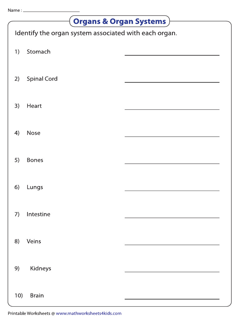 Organs and Organ Systems | PDF