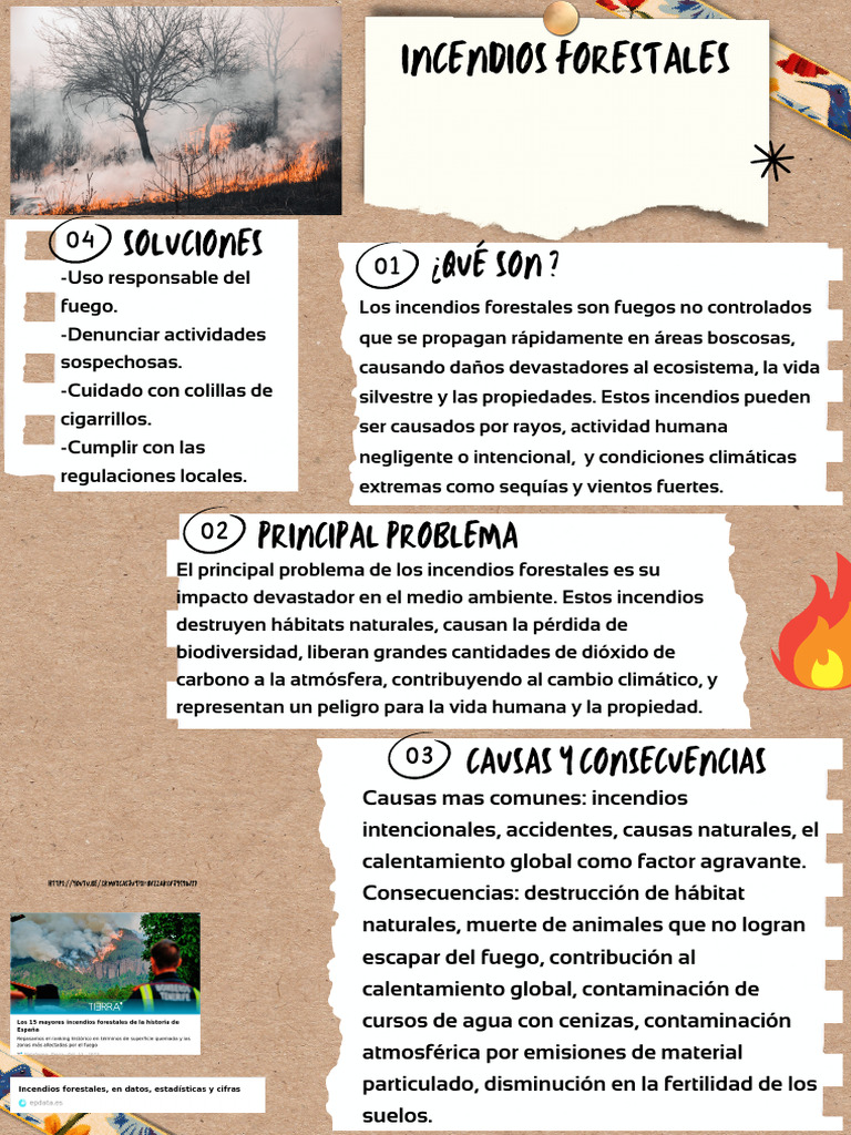 Póster Método Científico Pasos Infografia Escolar Pastel | PDF | Fuego ...