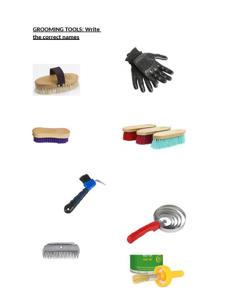 Horse grooming tools exam | PDF