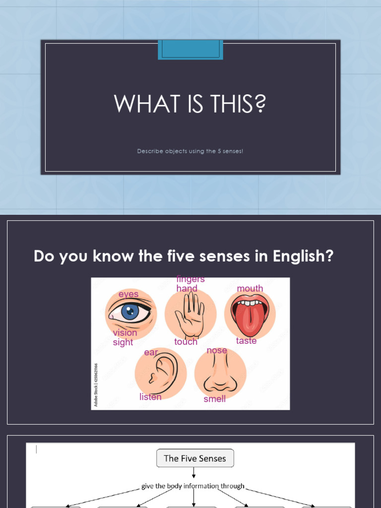 Describing Objects with the 5 Senses | PDF | Taste | Senses