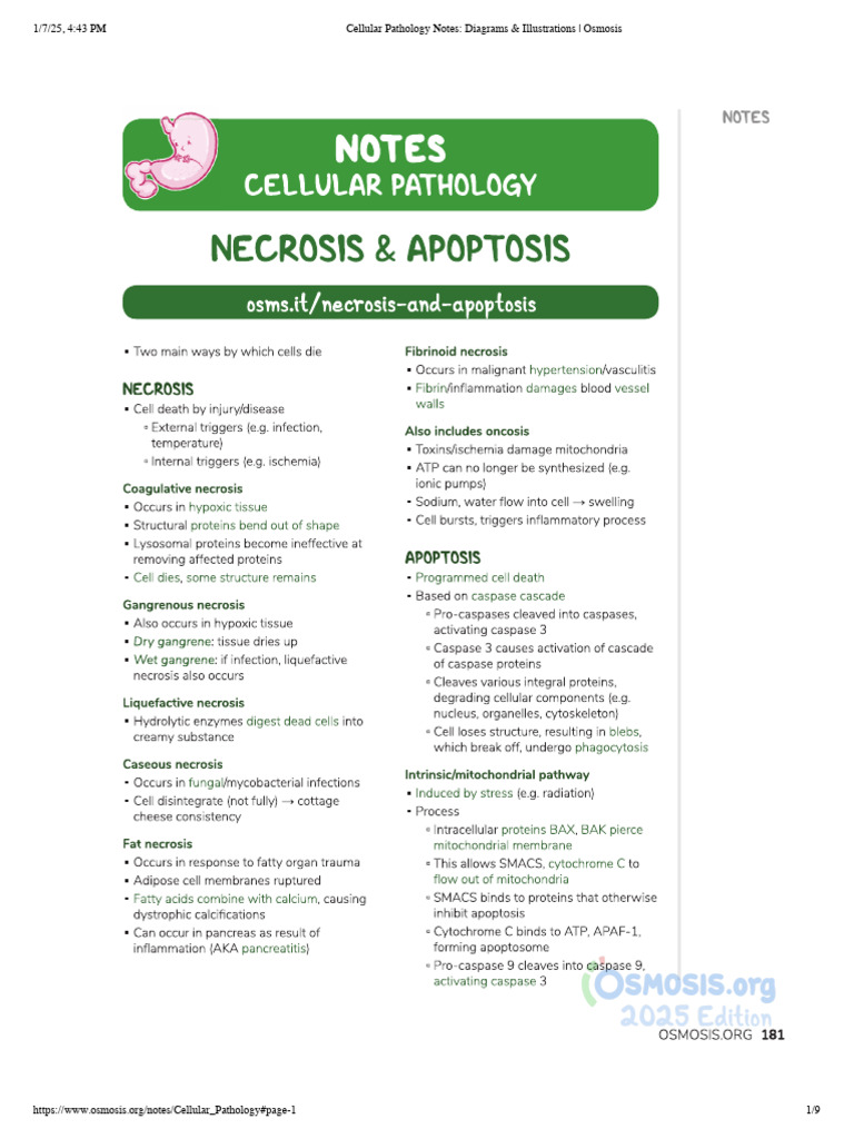 Cellular Pathology Notes - Diagrams & Illustrations - Osmosis | PDF