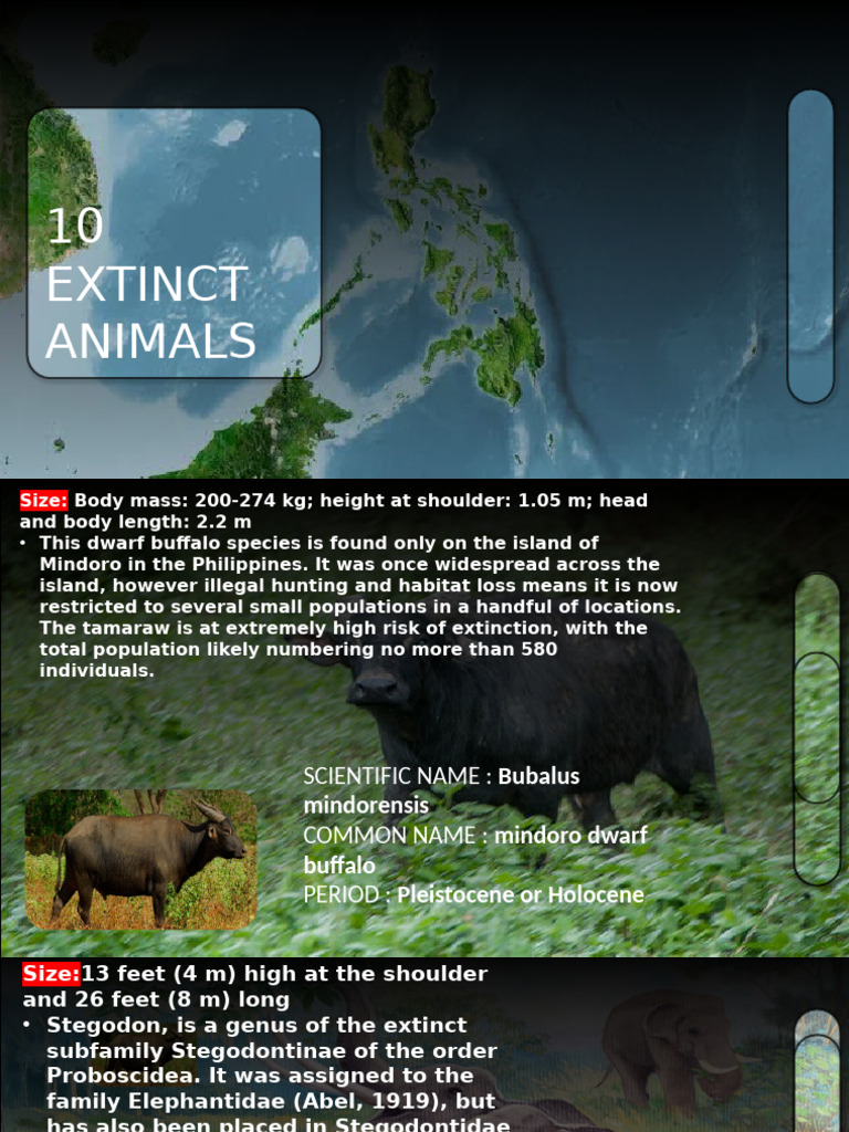 10 Extinct Animals | PDF | Rhinoceros