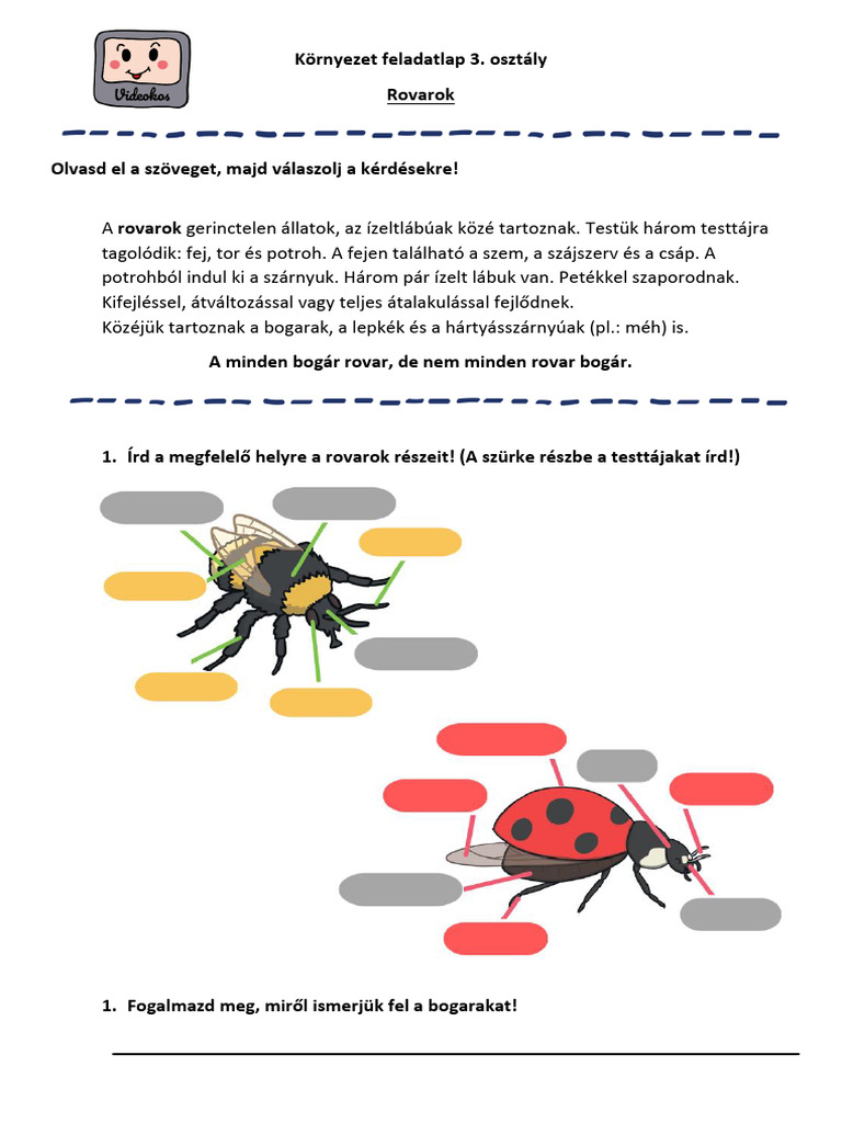 Rovarok | PDF