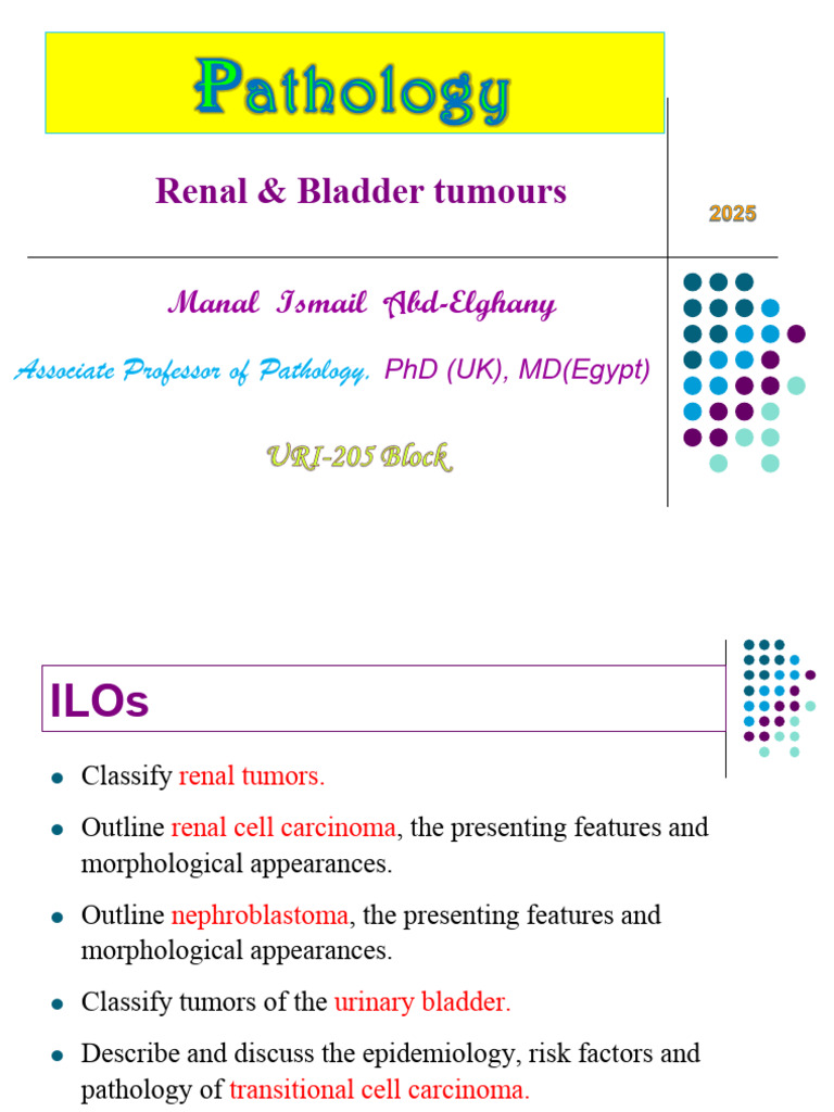 Renal and Bladder Tumor Classification | PDF | Carcinoma | Adenocarcinoma