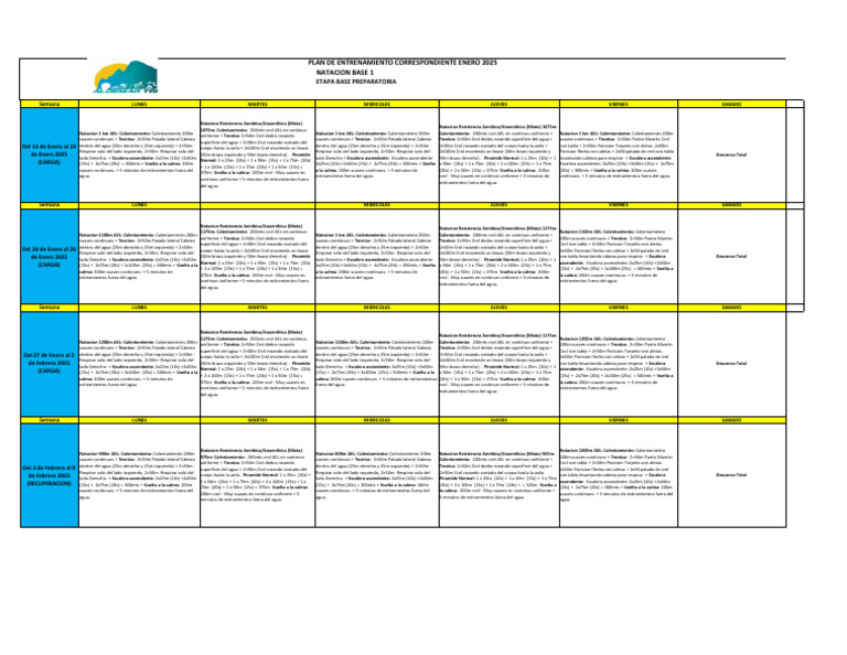 Plan de Entrenamiento Natacion Resistencia Aeorobica 2025 | PDF ...