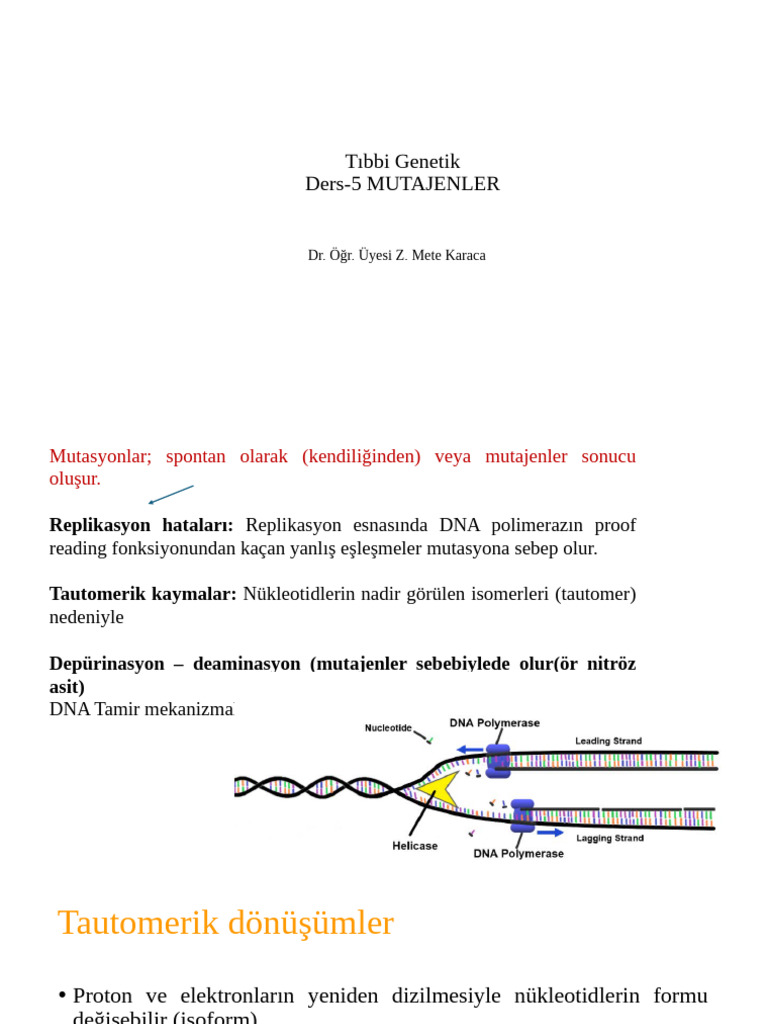 Ders 5 Mutajenler | PDF