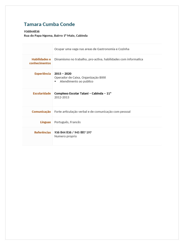 Tamara CV | PDF