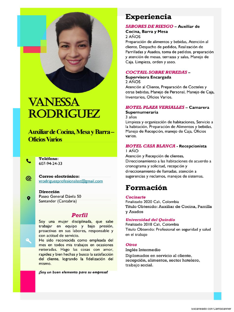CURRICULUM GENERAL VANE Uv | PDF