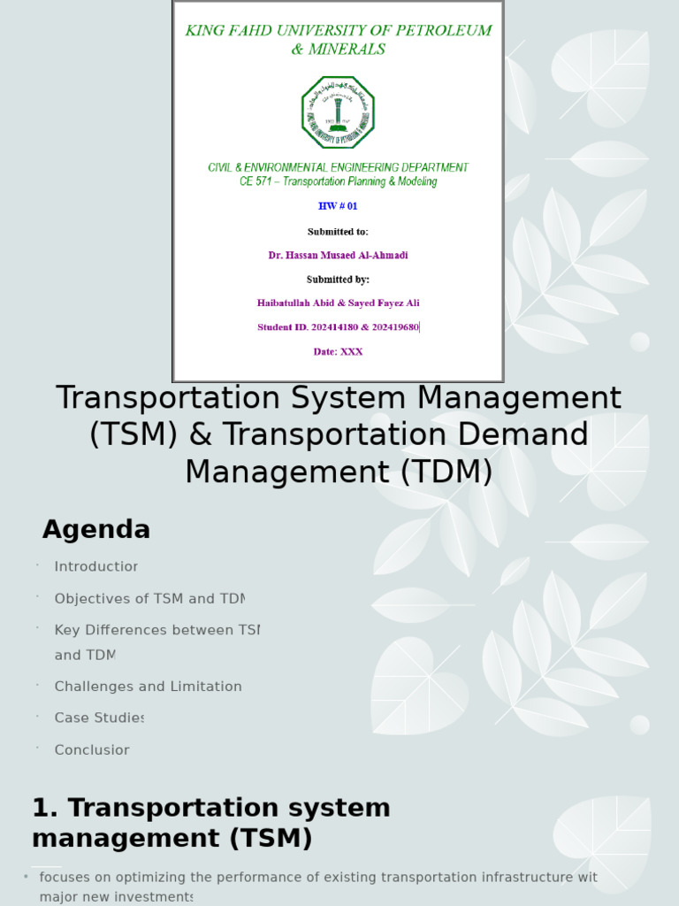 TSM & TDM [Autosaved] | PDF | Traffic | Transport