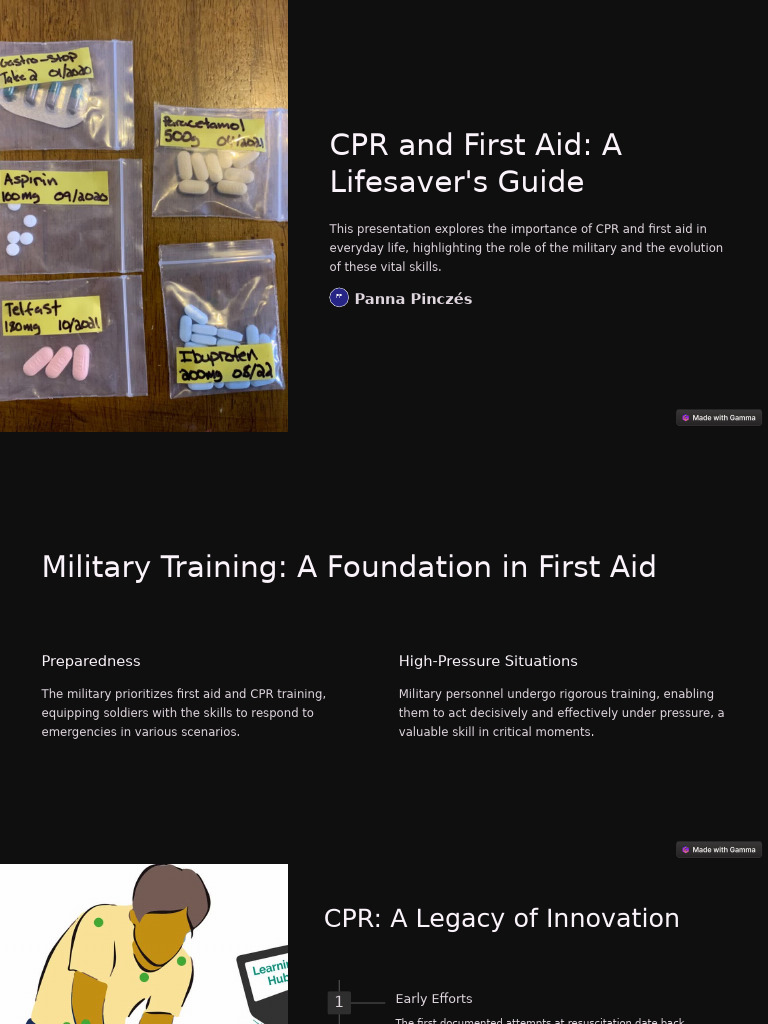 CPR and First Aid A Lifesavers Guide | PDF | First Aid ...