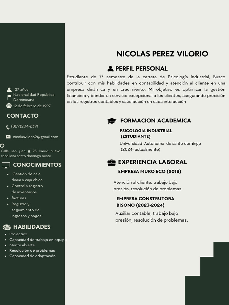 Currículum Nicolás 2024-1 | PDF
