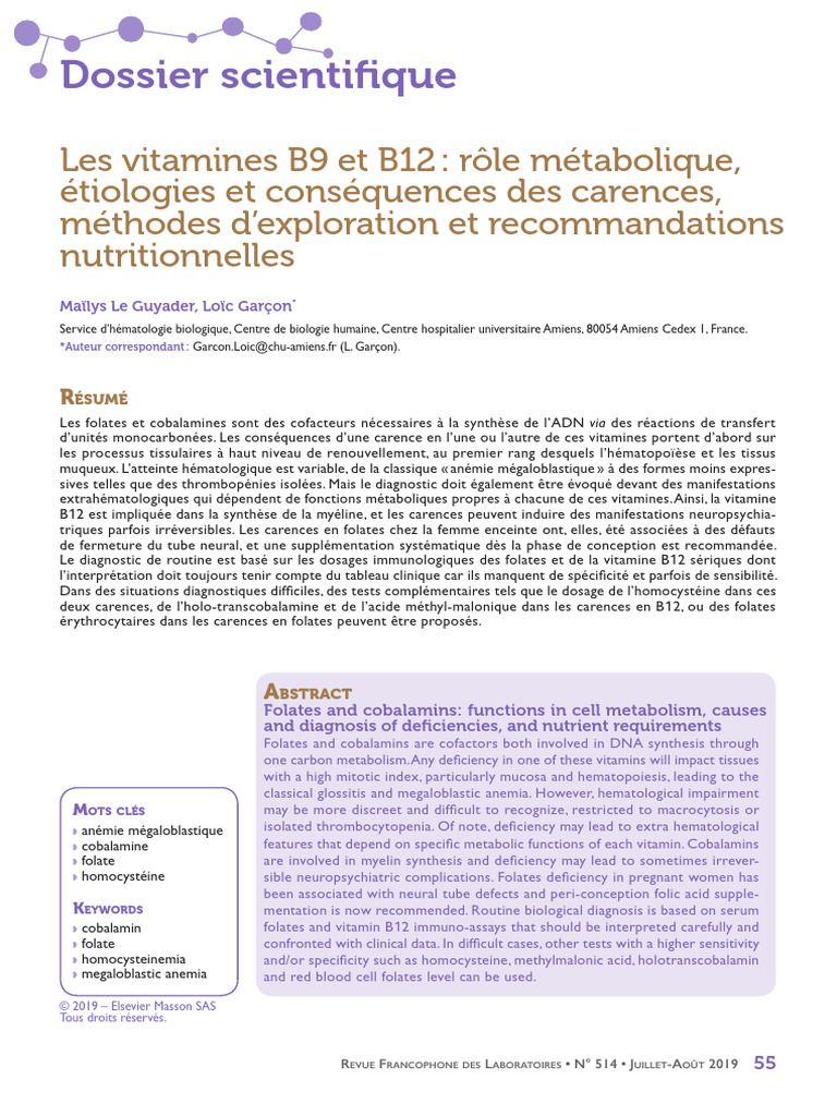 Carences en vitamines B9 et B12 : enjeux | PDF | Vitamine B12 ...