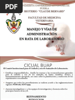 Anatomía y Cuidado de la Rata Wistar | PDF