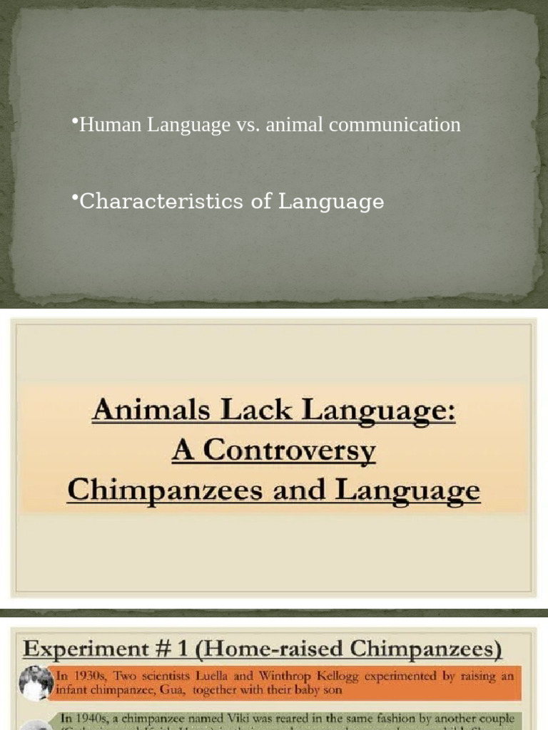 Language As Human Faculty | PDF