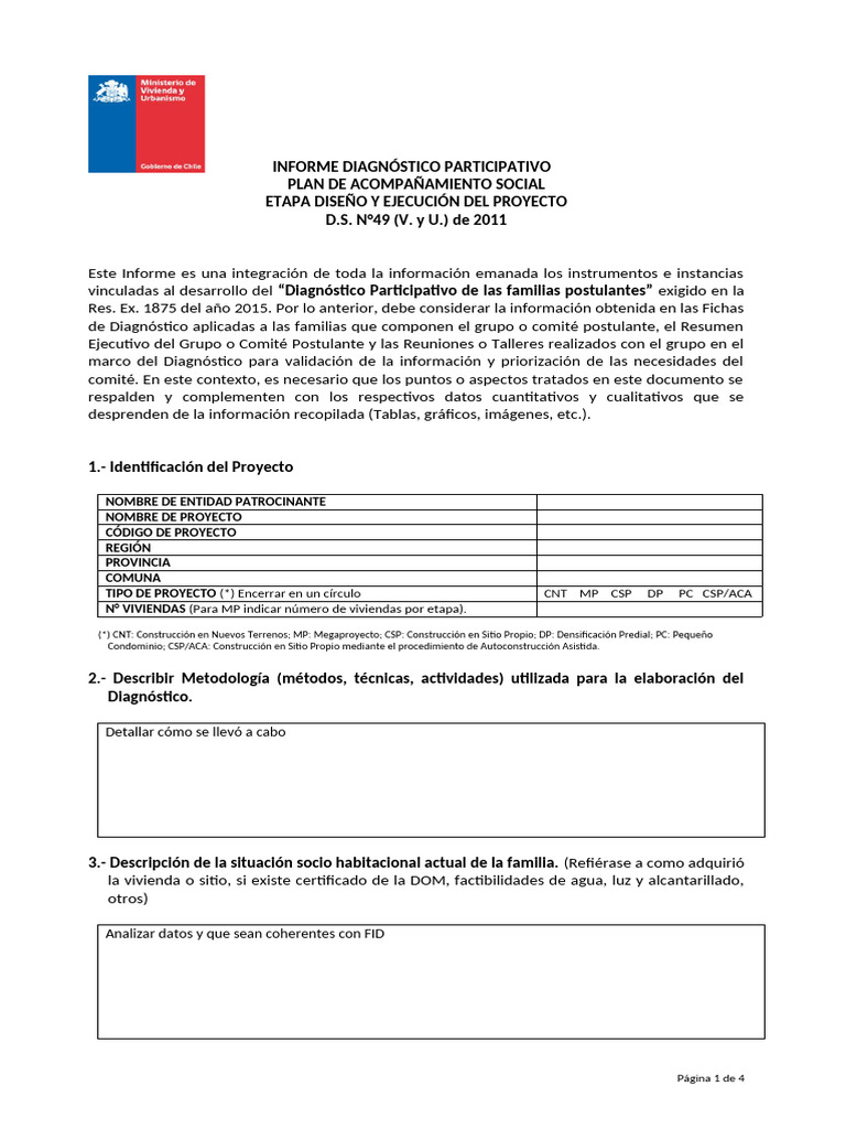 Formato - Informe Diagnóstico CSP 2024 | PDF