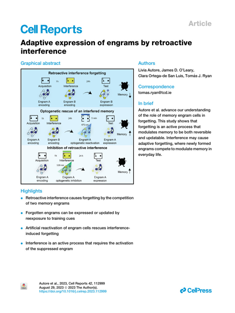 Adaptive Expression of Engrams by Retroactive | PDF | Memory | Learning