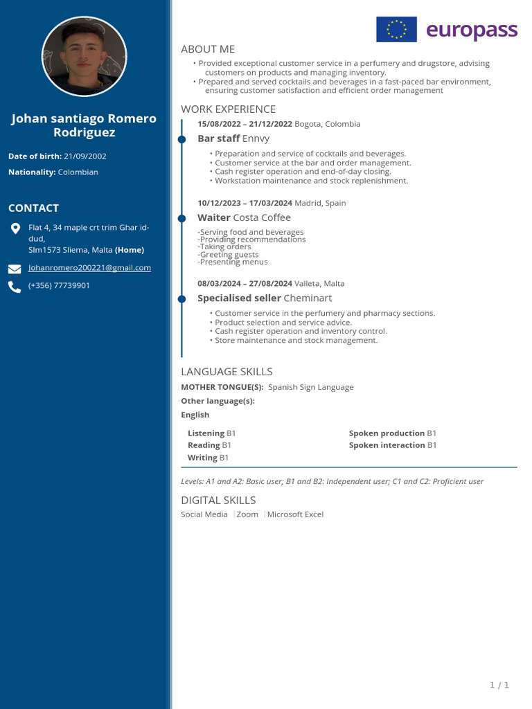 Johan Romero Cv | PDF