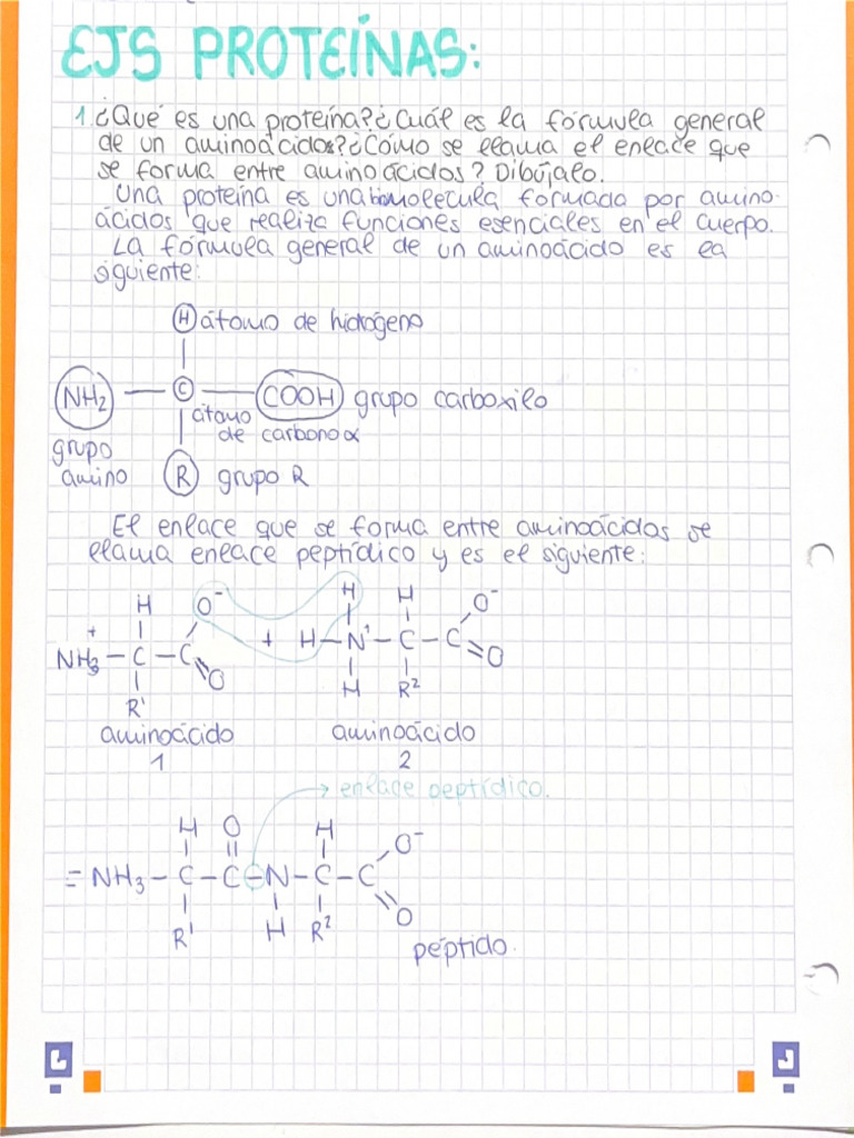 Ejs Proteínas | PDF